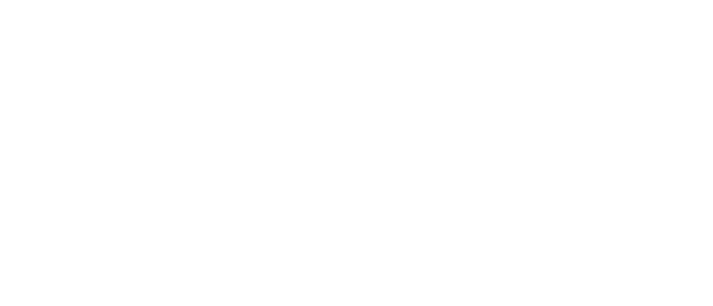 DanAds - Our commitments